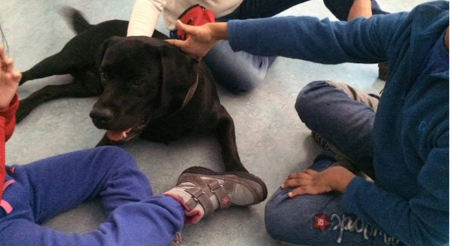 Pet Therapy: l' aiuto di un cane per bimbi disabili | PetPassion